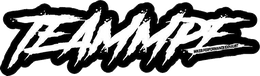 Team MPE – Team Mpe